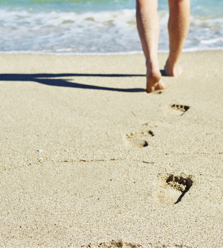 Beach & Equipment Rental - Fontainebleau Miami Beach